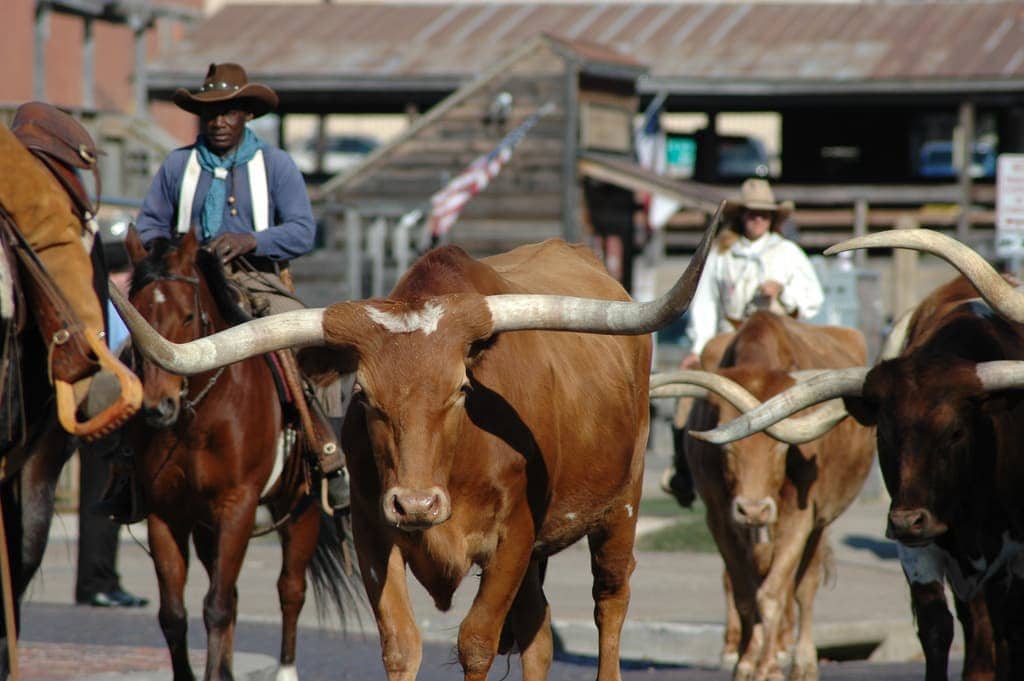 Experience the Best of Cowboy Culture in Dallas-Fort Worth - Inspire ...