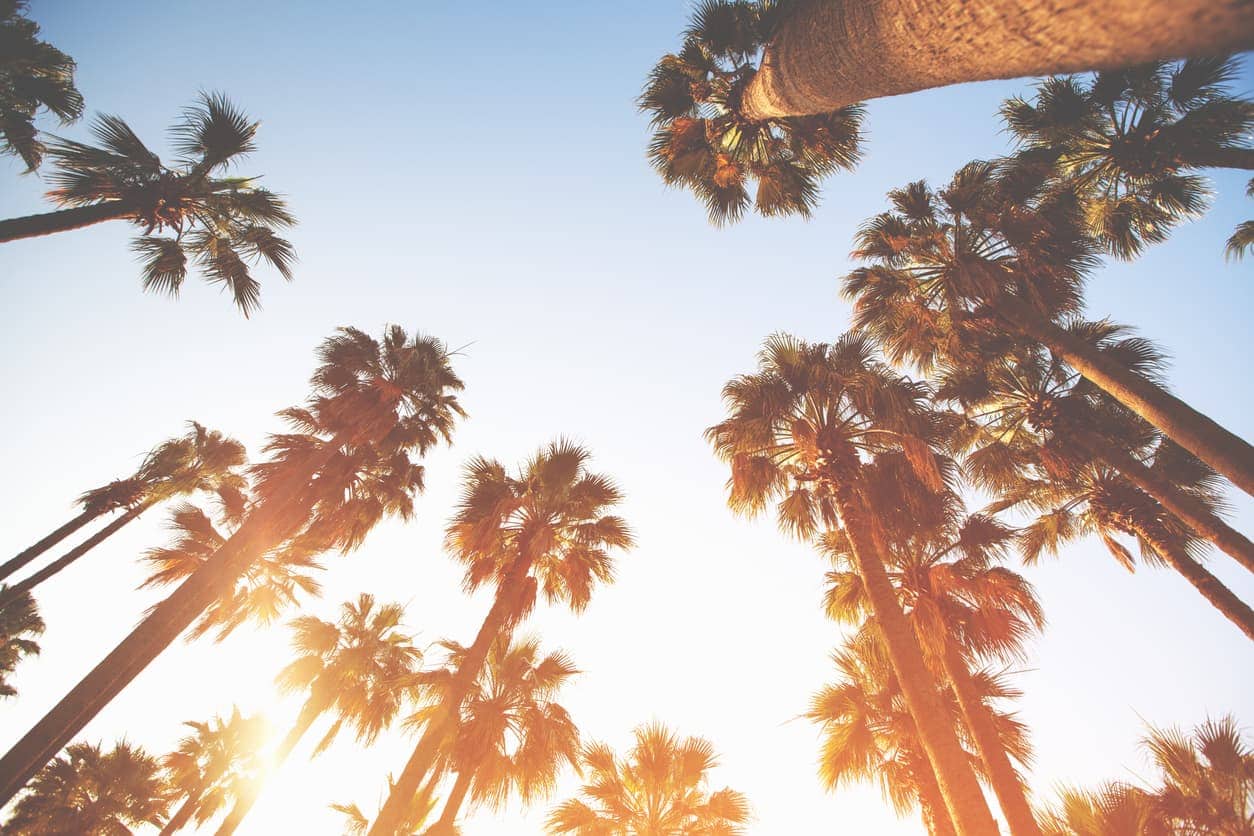 Spring Break Wallpaper